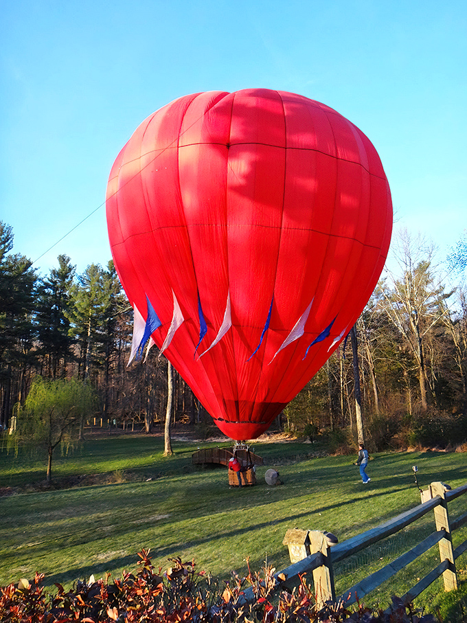 Up, up and away! New Hope's landscape unfolds like a patchwork quilt from the basket of a hot air balloon. Bucket list item: checked.