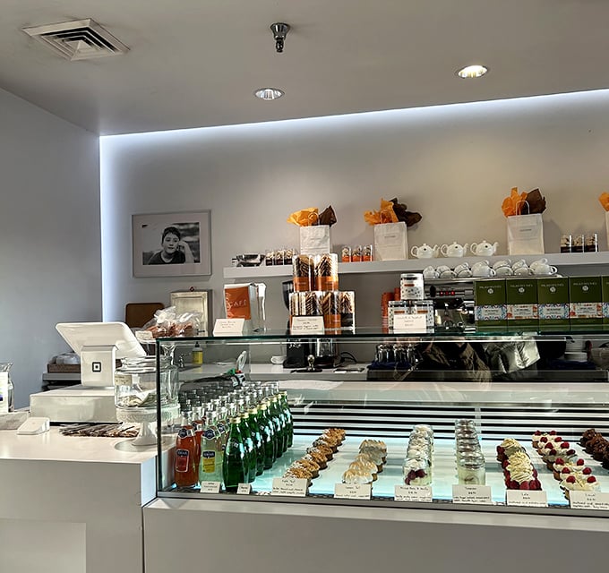 The display case&mdash;where dreams are stored at precisely the right temperature. Each pastry waits patiently for its moment of glory.