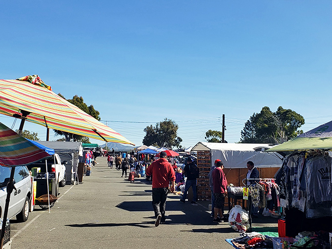 Sunlight streams down the aisle, illuminating a path between vendors where every ten steps brings you to an entirely different shopping universe.