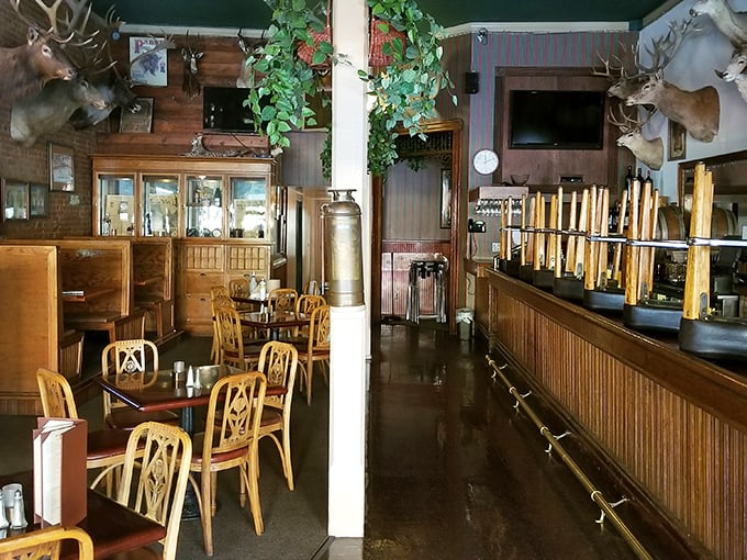 The dining room whispers tales of memorable meals past, while wooden panels and hunting trophies create the perfect steakhouse atmosphere.