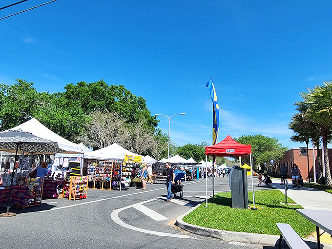 The Kumquat Festival transforms downtown into a celebration of tiny fruit with massive flavor. Only in Florida can citrus smaller than a golf ball draw such crowds.