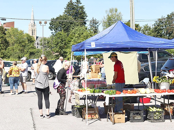 Saturday morning farmers markets bring the community together, where conversations about weather and family matter as much as the fresh produce.