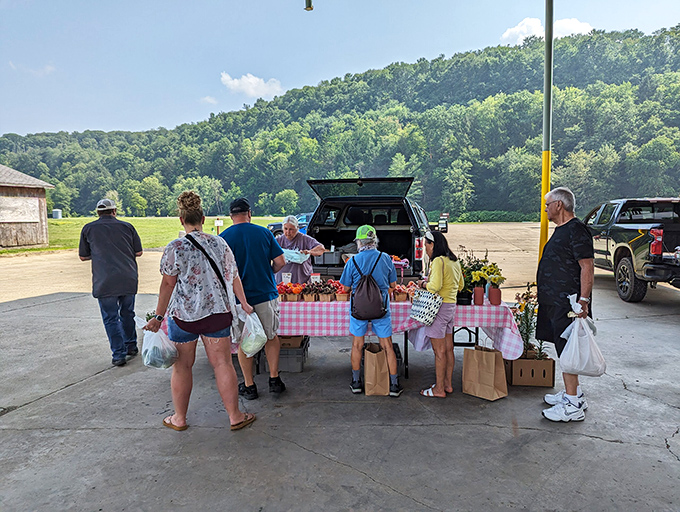 Local markets in small towns aren't just about produce—they're social hubs where recipes and town news are exchanged with equal enthusiasm. Those checkered tablecloths practically scream "homemade goodness."