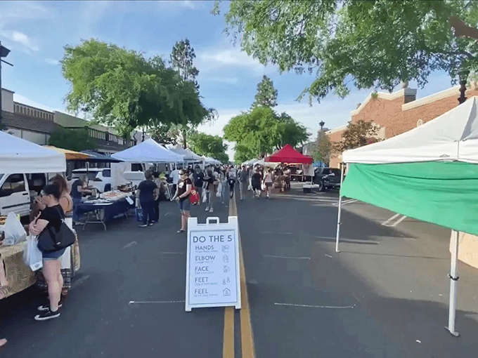 The farmers market transforms ordinary streets into vibrant community gathering spots, where conversations flow as freely as the fresh produce changes hands.