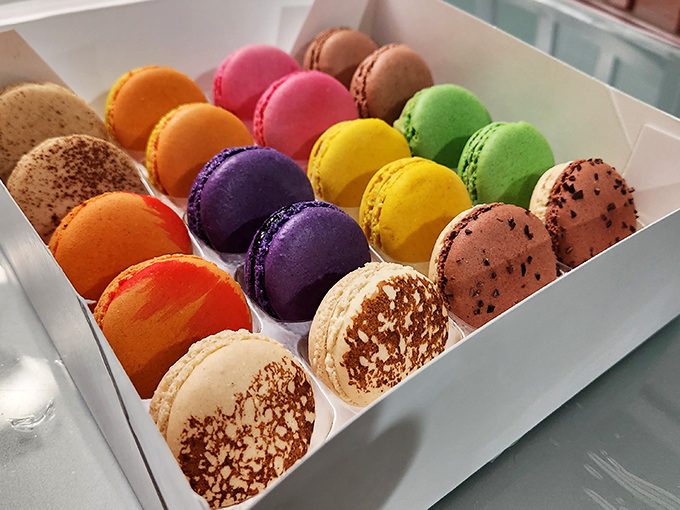 A rainbow you can actually taste! These macarons are like tiny, perfect planets in a dessert solar system I'd happily orbit forever.