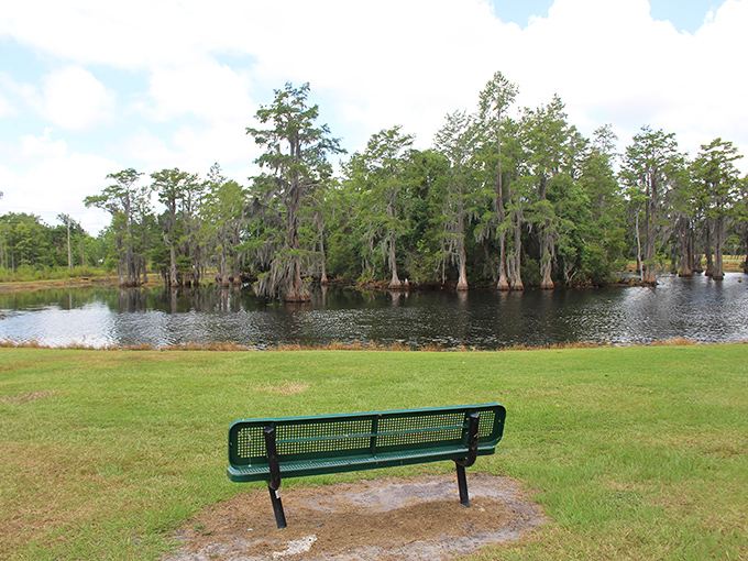 Waterfront benches invite contemplation without a cover charge. Nature's therapy session comes complimentary with Valdosta residency.