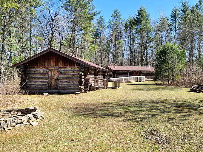 Log cabins standing sentinel in the pines &ndash; frozen moments from an era when "horsepower" meant actual horses.