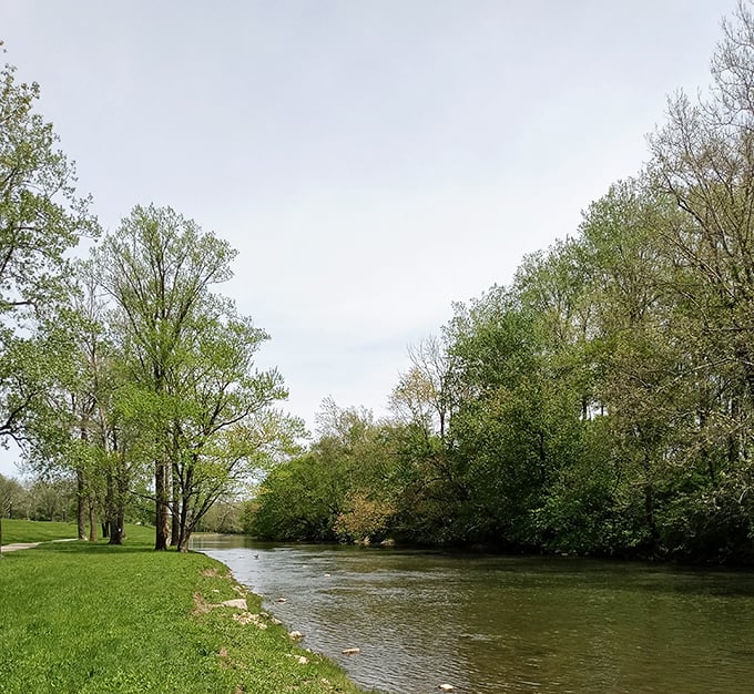 The White River meanders through Muncie like nature's own stress-relief therapy—free of charge and generous with its scenic views.