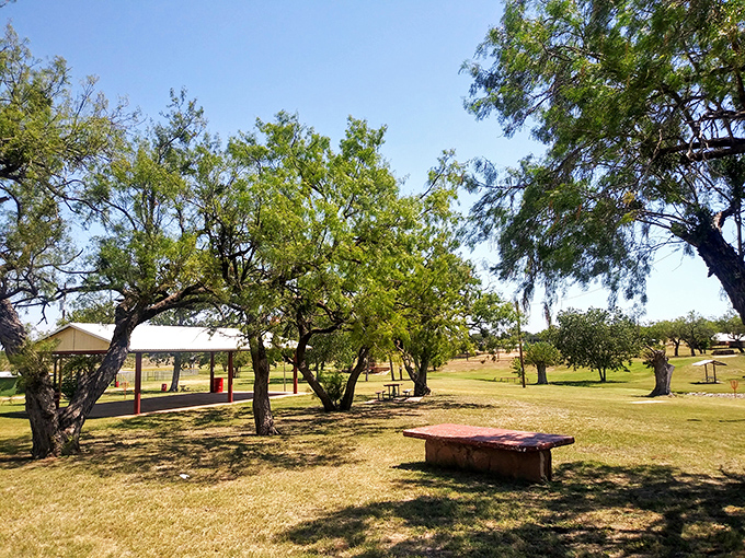 Newman Park offers shade trees and open spaces where your thoughts can stretch their legs without bumping into a notification or deadline.