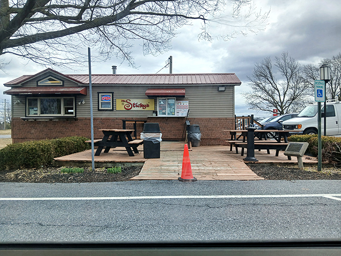 The picnic tables outside Mr. Sticky's: where strangers become friends united by sticky fingers and sugar-induced euphoria.