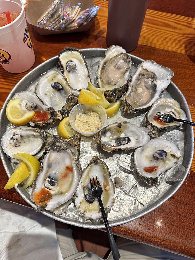 Fresh oysters on ice&mdash;nature's perfect appetizer. Each one is like a tiny ocean treasure chest waiting to be unlocked with a squeeze of lemon.