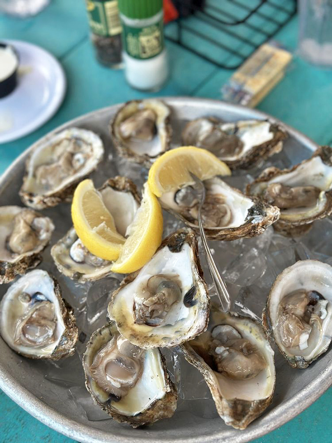 Oysters on the half shell, glistening like little ocean jewels. Add lemon and briefly consider moving to a coastal shack.