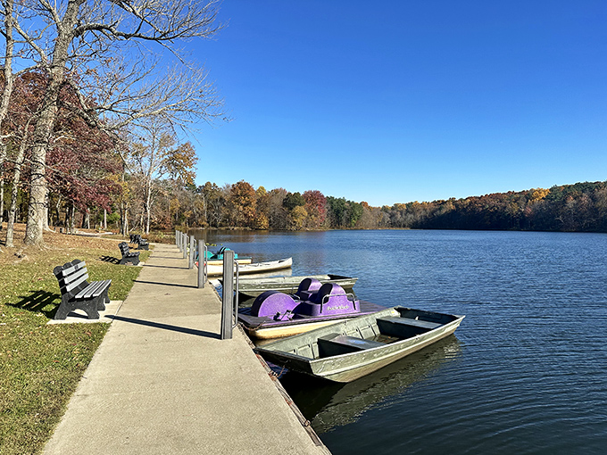 Park benches line the shore as paddle boats wait patiently for their next adventure&mdash;like taxis at a stand where the meter never runs.