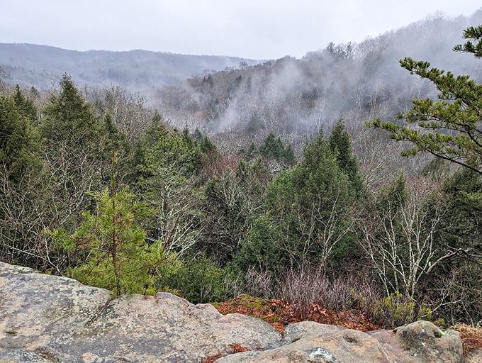 From the rim overlook, the Hocking Hills stretch to the horizon like a rumpled green blanket with wisps of morning mist playing hide-and-seek.