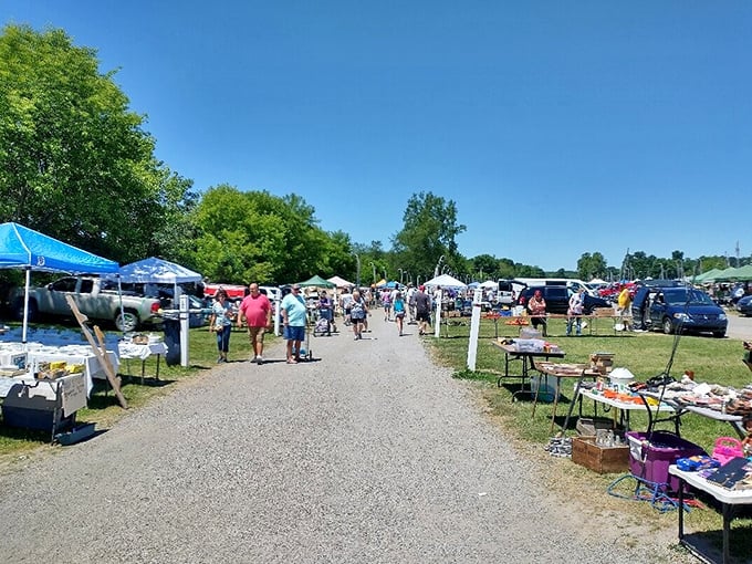 The great American treasure hunt in action. Tables stretch to the horizon as shoppers meander down gravel pathways on their quest for deals.
