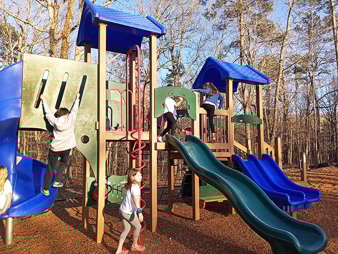 Childhood joy doesn't need a software update. This playground proves that slides and climbing structures still generate more genuine smiles than any tablet ever could.