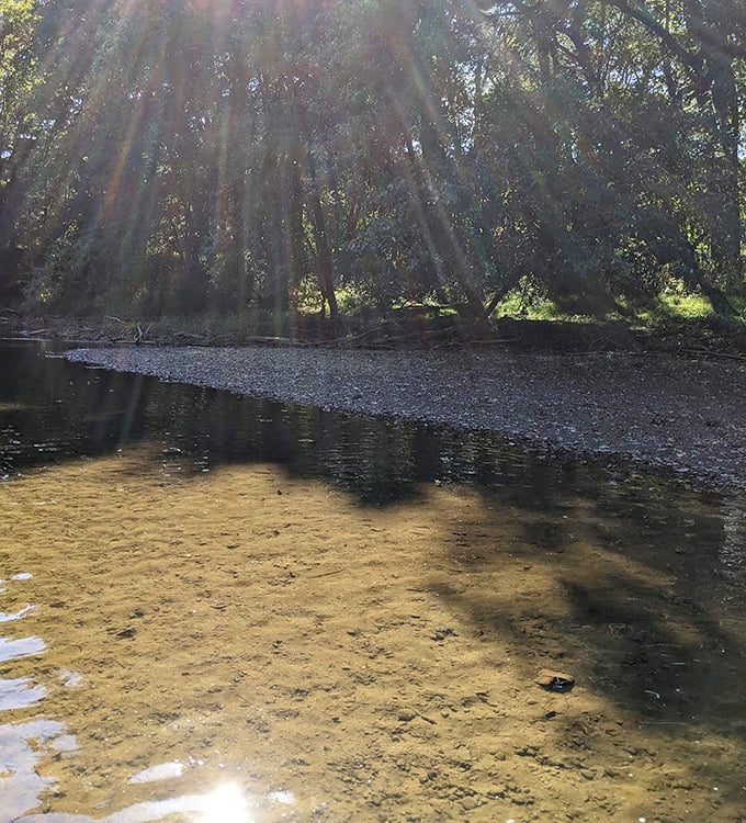 The kind of crystal-clear stream that makes you wonder if bottled water companies are just selling us filtered memories of places like this.