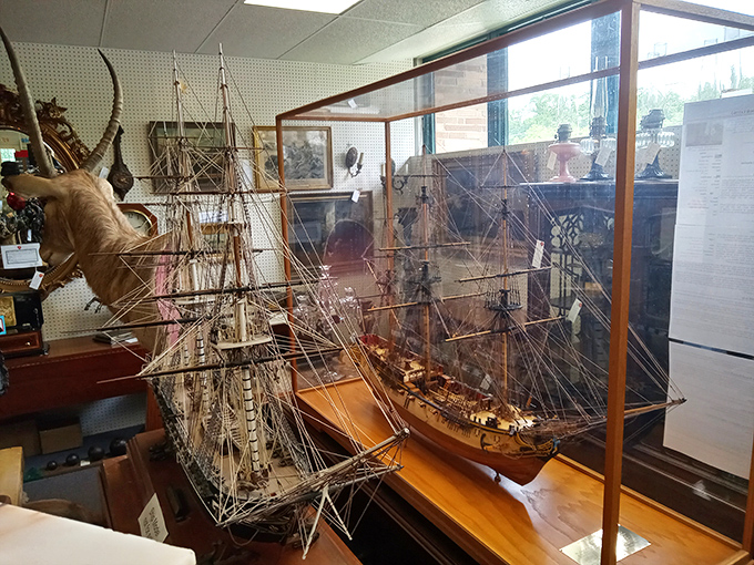 Miniature maritime masterpieces that took someone thousands of hours to build. Each tiny rope and sail represents patience we modern folks have forgotten.