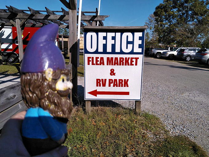 The humble signpost that's guided thousands to bargain paradise. That gnome knows where the deals are hiding.
