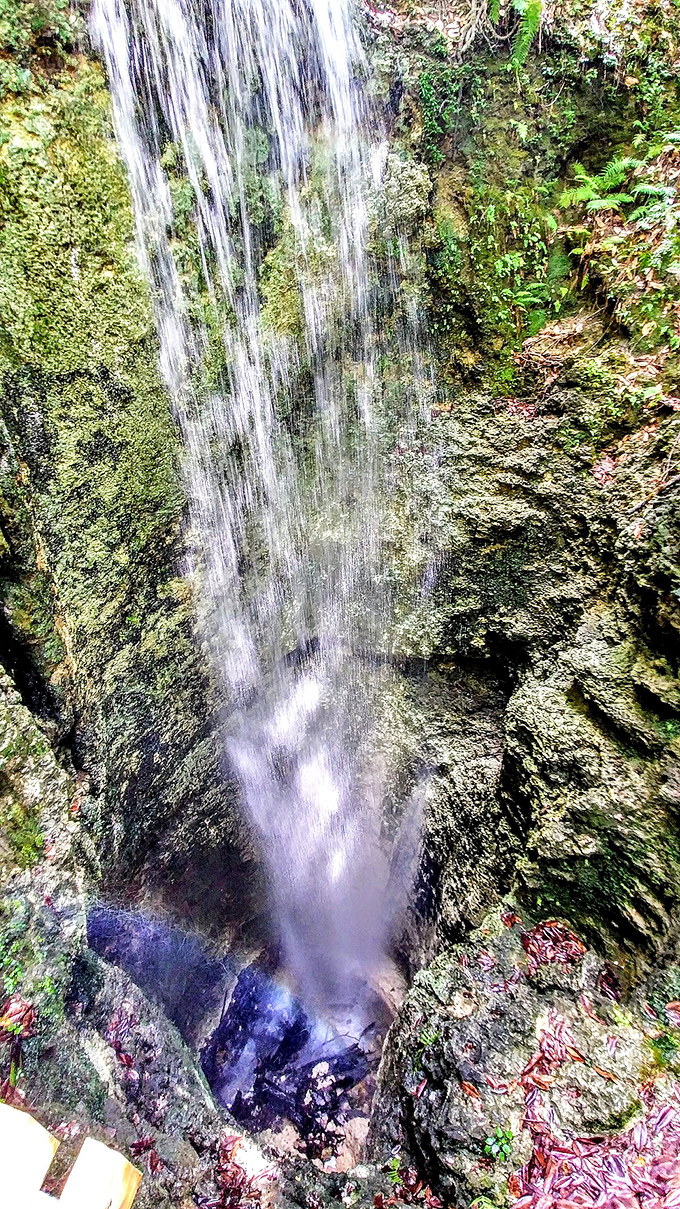 Looking down the limestone throat of Florida's geological wonder. The waterfall's final destination remains Earth's secret, like nature's own magic disappearing act.