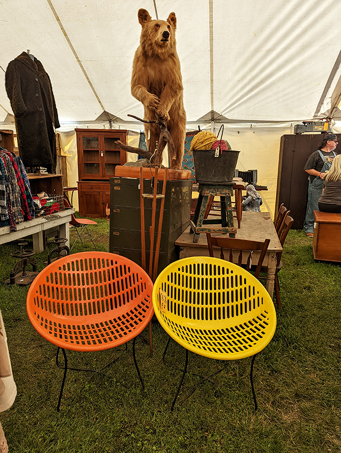 A taxidermied bear stands guard over mid-century modern chairs that look like they were plucked from The Jetsons' living room.