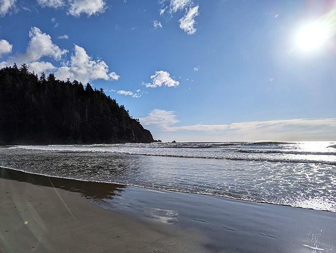 Morning light transforms the shoreline into a glistening masterpiece. No filter needed when Mother Nature does the lighting.