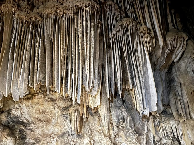 Nature's own icicle collection, except these have been growing for thousands of years. Each stalactite tells a story of patience and persistence, one mineral-rich drop at a time.