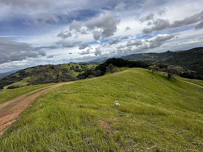 The kind of view that makes smartphone cameras feel wholly inadequate. Rolling emerald hills under dramatic skies that belong on gallery walls.