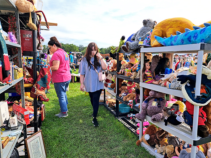 Stuffed animal adoption center where childhood companions wait patiently for their second chance at being loved.