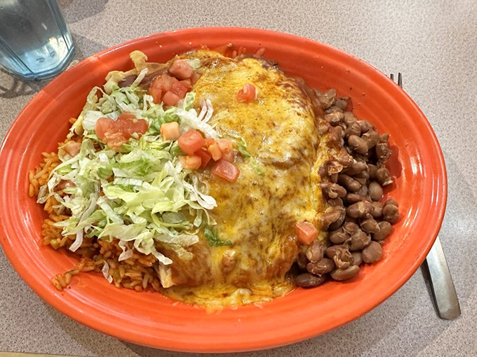 A stuffed sopapilla that's having an identity crisis between being an enchilada and a work of art &ndash; topped with enough cheese to make Wisconsin proud.