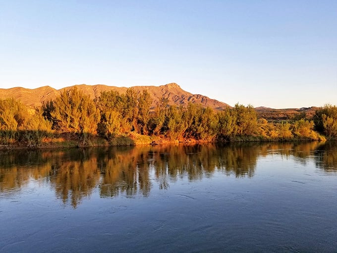 The Rio Grande reflects the golden hour light, creating a mirror image of the mountains that's worth the trip alone.