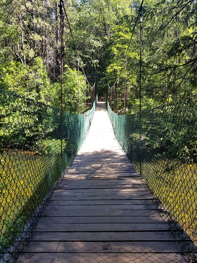 Crossing this suspension bridge feels like stepping into an adventure movie. Indiana Jones would approve of this forest passage.