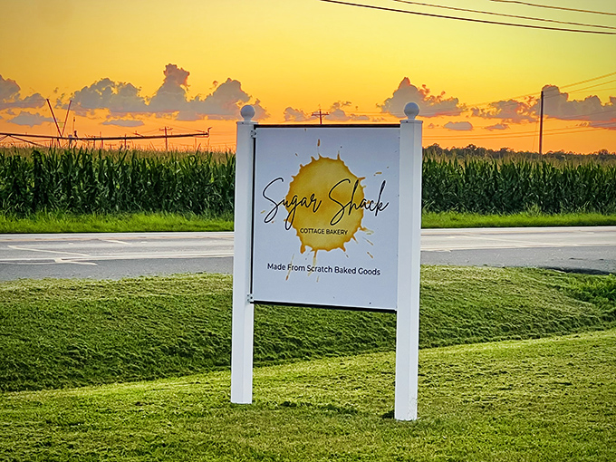 The Sugar Shack sign against a cornfield sunset &ndash; a visual haiku about Delaware's perfect balance of sweetness and agricultural roots.