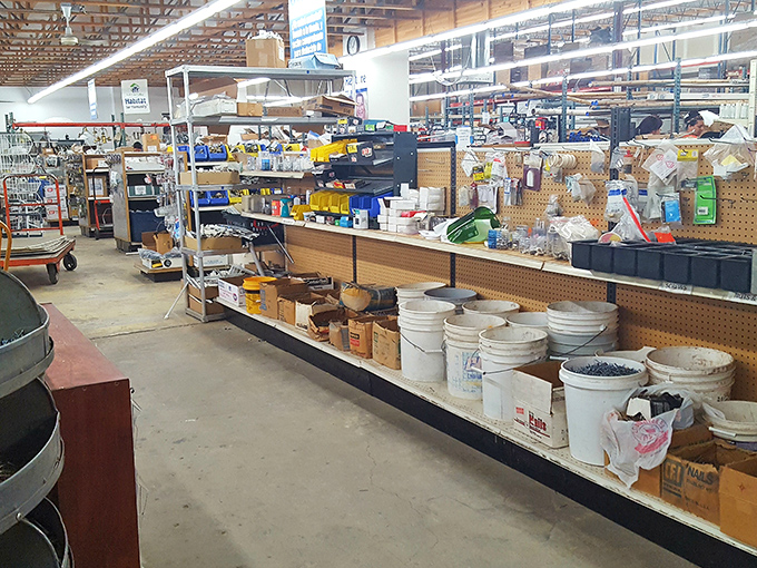 Tool time paradise! From power drills to hand saws, this collection of pre-loved implements stands ready to tackle your next project without hammering your budget.