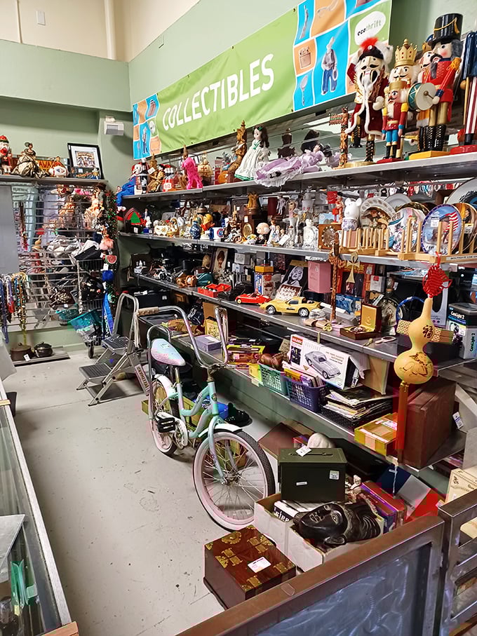The collectibles section where childhood memories and adult nostalgia collide in the most delightful way. 