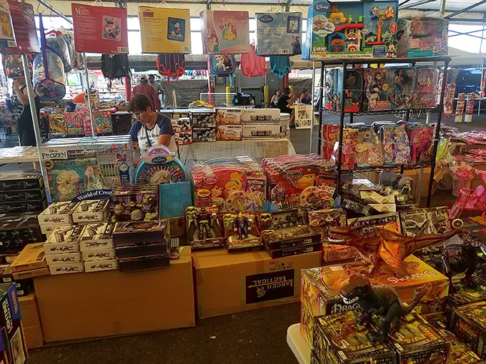 Toy paradise where childhood dreams materialize in plastic form. Parents beware: resistance to puppy-dog eyes is futile here.