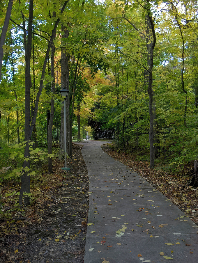 A tree-lined path that beckons walkers with the promise of serenity and just enough exercise to justify that slice of pie waiting back in town.