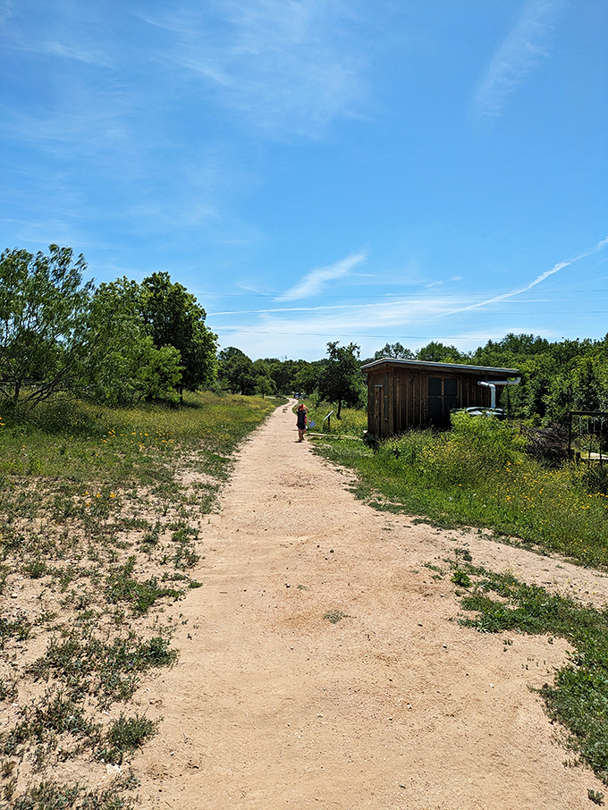 The trail beckons with promises of discovery around every bend. Comfortable shoes required, sense of wonder provided free of charge.