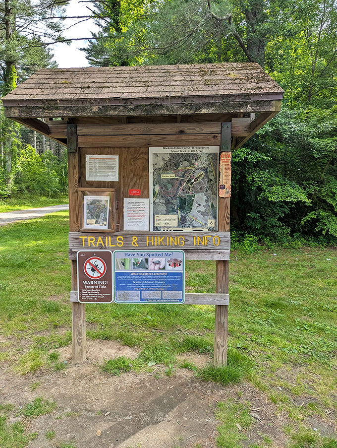 The information kiosk&mdash;where trail maps meet tick warnings. Knowledge is power, especially when it comes to avoiding poison ivy!
