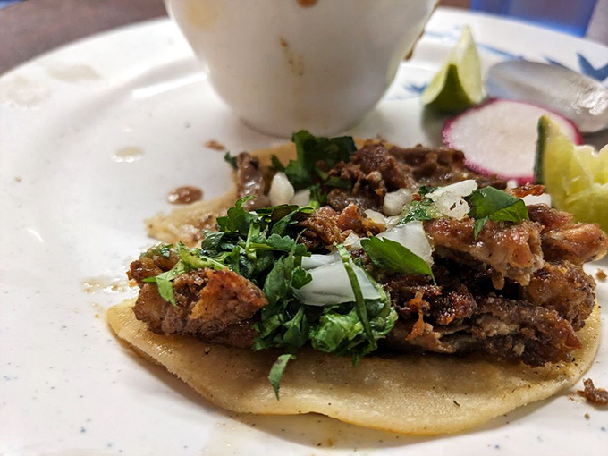 This taco isn't just food&mdash;it's a masterclass in simplicity. Fresh cilantro, diced onions, and perfectly seasoned meat on a handmade tortilla. Poetry on a plate.