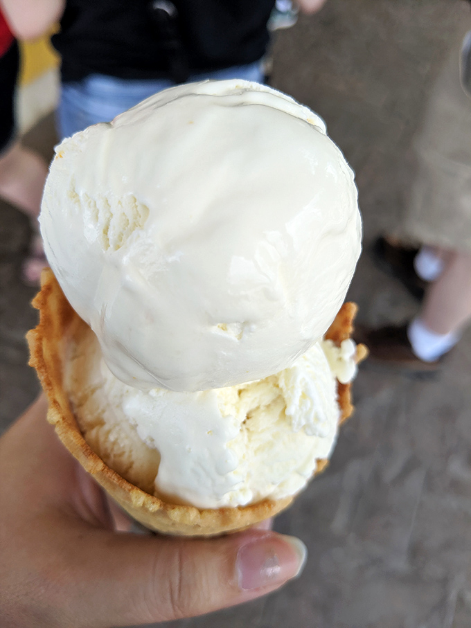 Vanilla custard stacked high in a waffle cone—proof that "plain vanilla" has never been an accurate description of anything this good.