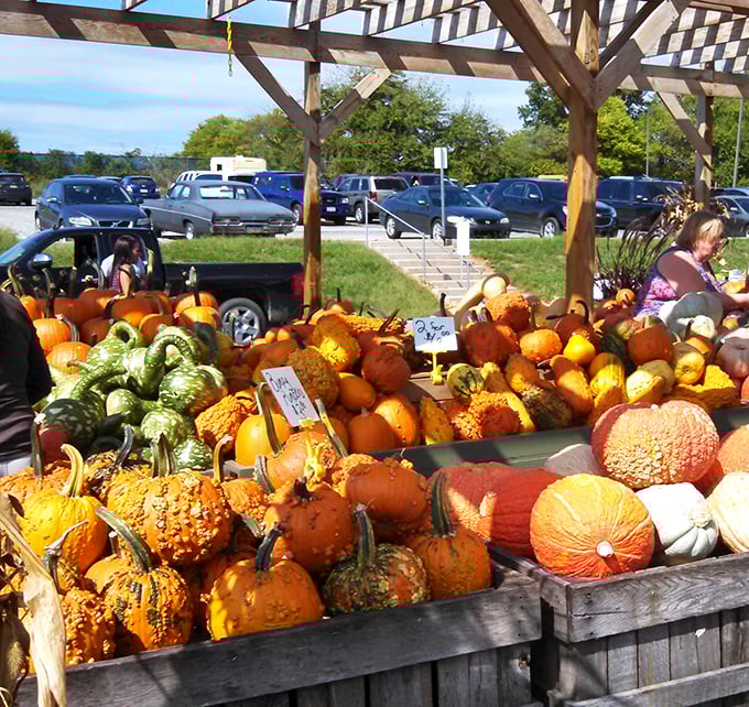 Fall's bounty explodes in living color&mdash;these pumpkins and gourds transform the ordinary marketplace into an autumn wonderland worth the drive.
