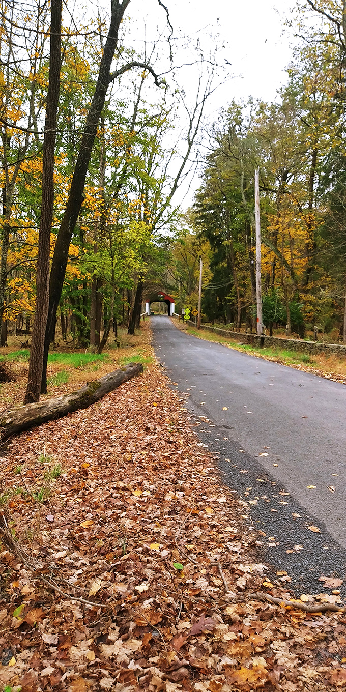 The road less traveled leads to the most Instagram-worthy spots. Fall leaves create nature's red carpet approach to this historic treasure. 
