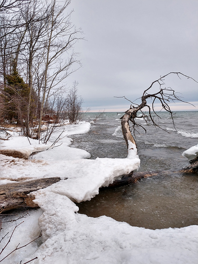 Winter transforms Negwegon into a frost-kissed wonderland. Lake Huron's icy edge creates sculptures more impressive than anything in an art museum.