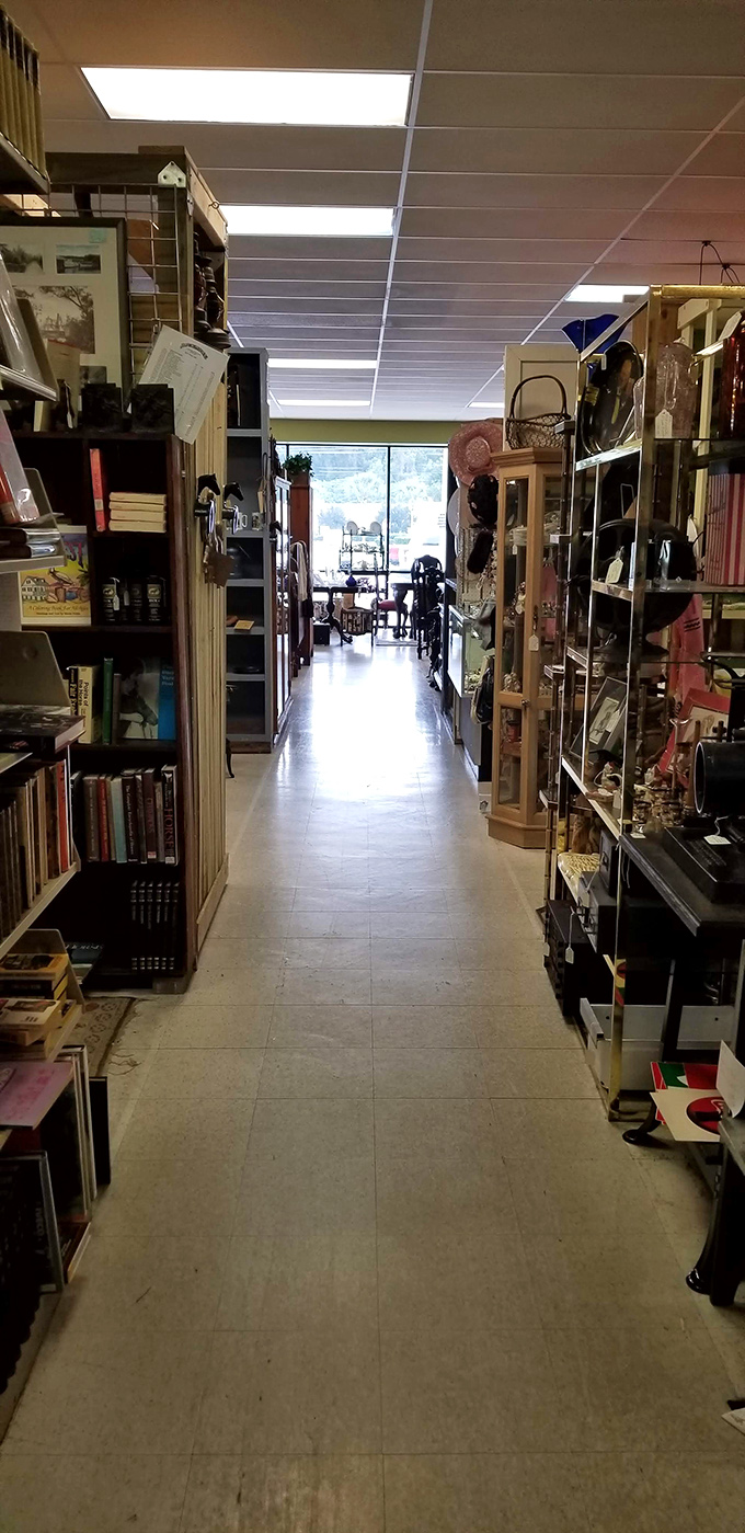 The bibliophile's yellow brick road. These aisles of possibility lead to undiscovered literary treasures and the sweet smell of old paper.