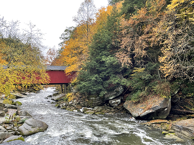 Fall's paintbrush transforms Slippery Rock Creek into a masterpiece of russet and gold, with the covered bridge adding that perfect pop of red.