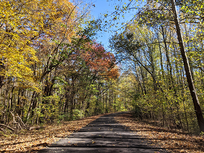 Fall in Harmonie is like Mother Nature's grand finale&mdash;a spectacular show of color that makes you wonder why people fly to New England when this is in their backyard.