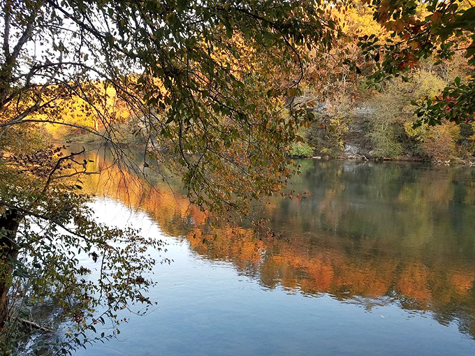 Autumn paints the Chattahoochee with colors that would make Monet jealous. The river becomes a mirror for fall's fiery fashion show.