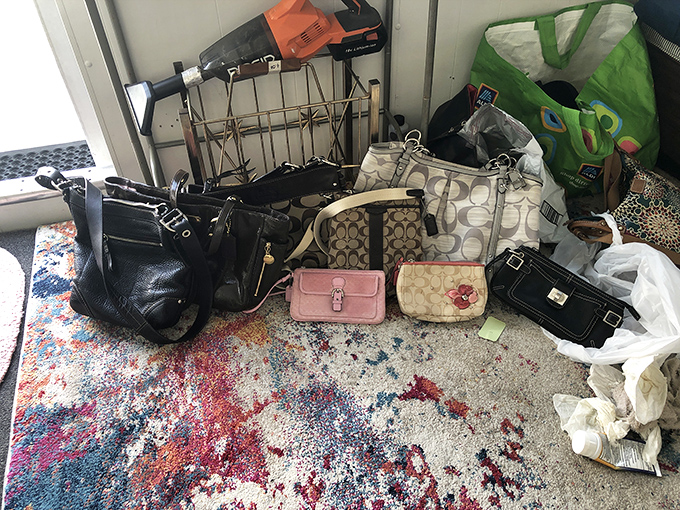 Designer purses at thrift store prices&mdash;proof that fashion karma exists and sometimes rewards the patient treasure hunter.