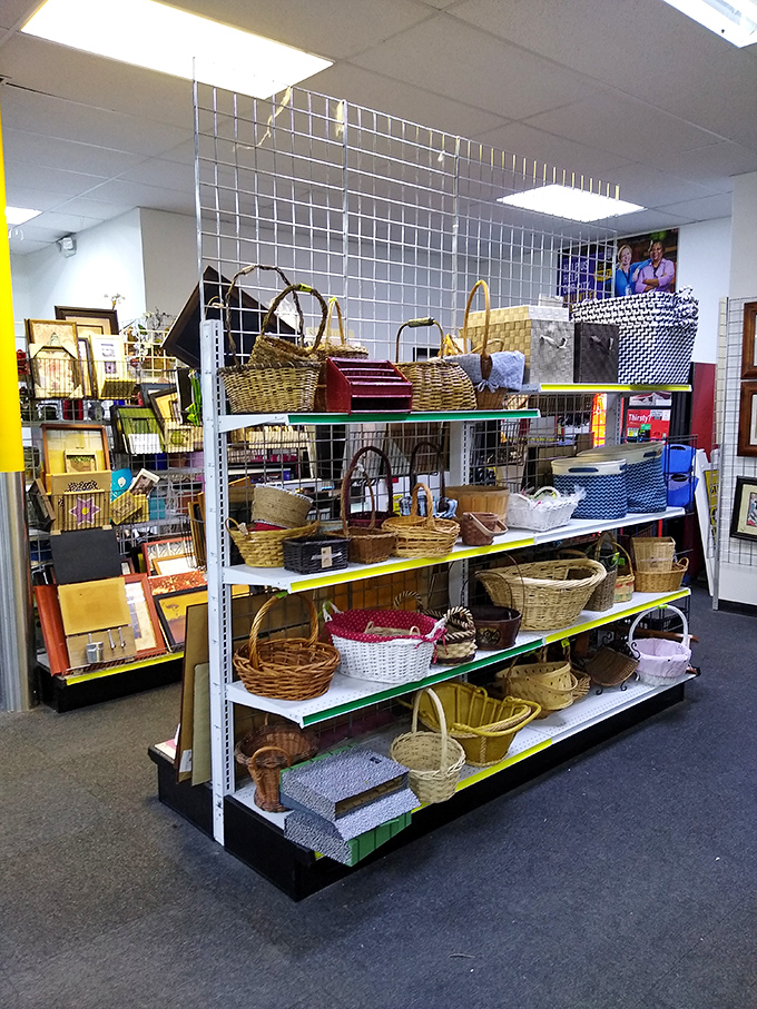 Basket paradise! From picnic-ready to storage solutions, these woven wonders prove that organization doesn't have to be boring or expensive.